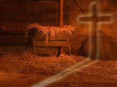 Day 85: From the Manger to the Cross - Devotions For All Reasons