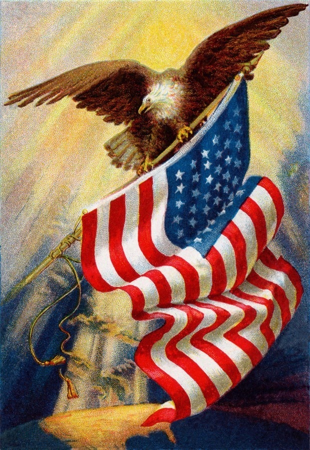 Day 165: Celebrating Flag Day - Devotions For All Reasons